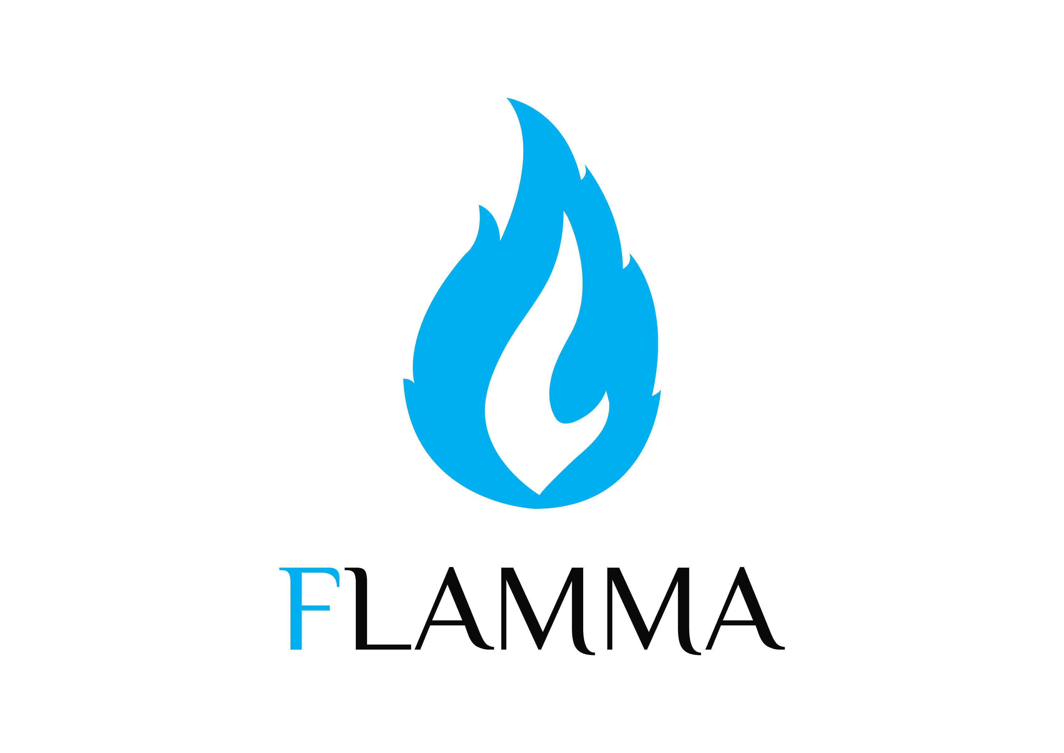 Flamma Agency